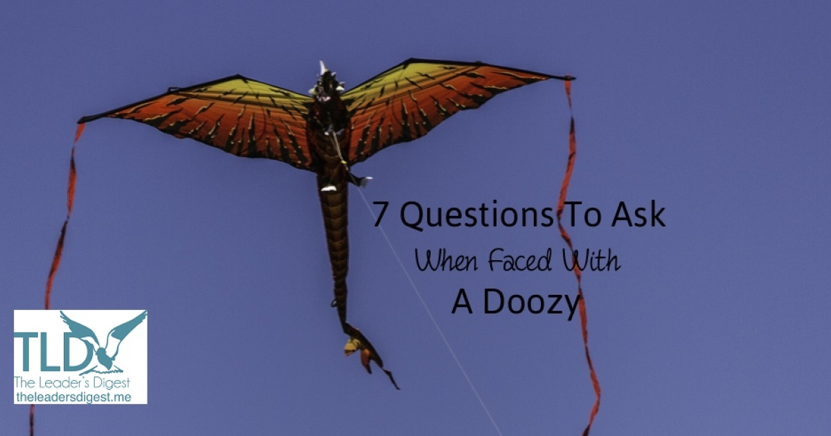 7 Questions To Ask When Faced With A Doozy | Suzi McAlpine Leadership ...